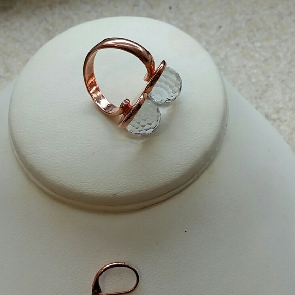 Jewelry | Earringring Set | Poshmark